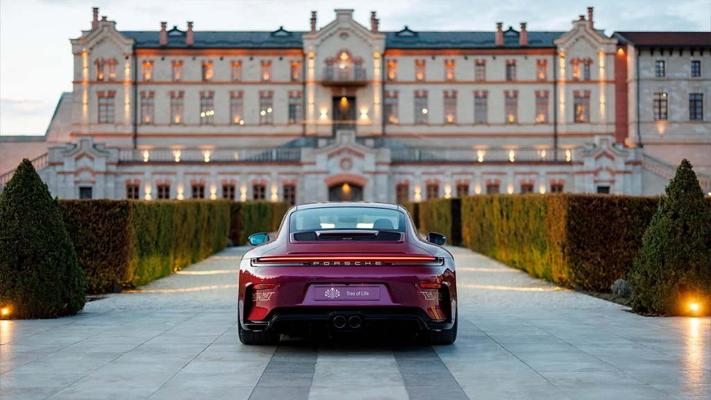 Porsche 911 GT3 Tree of Life - Autocosmos.com