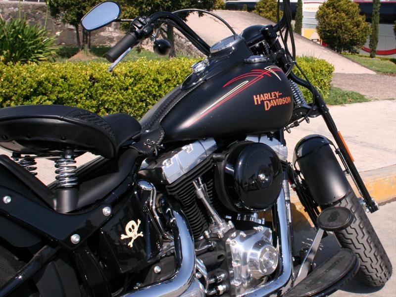 Harley Davidson Cross Bones 2010 a prueba